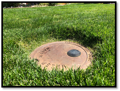 Home [pinerywater.com]